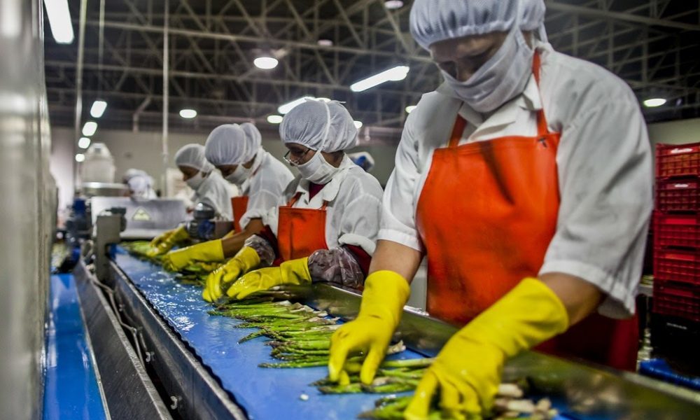 Production/Sanitation Worker Is Urgently Needed in Randstad Canada ...