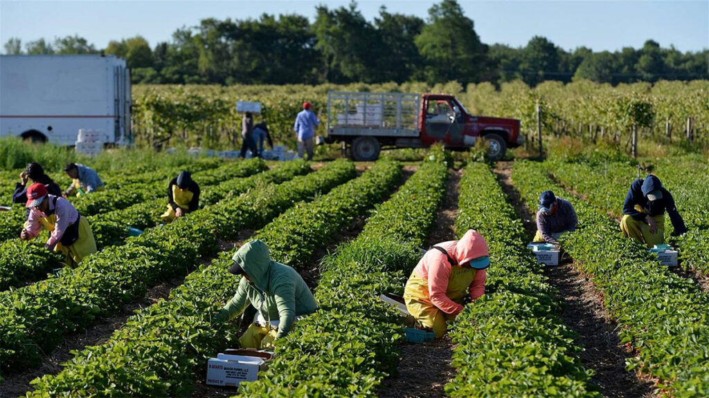 Employment Opportunities In Canada For Foreigners with Free Visa ...
