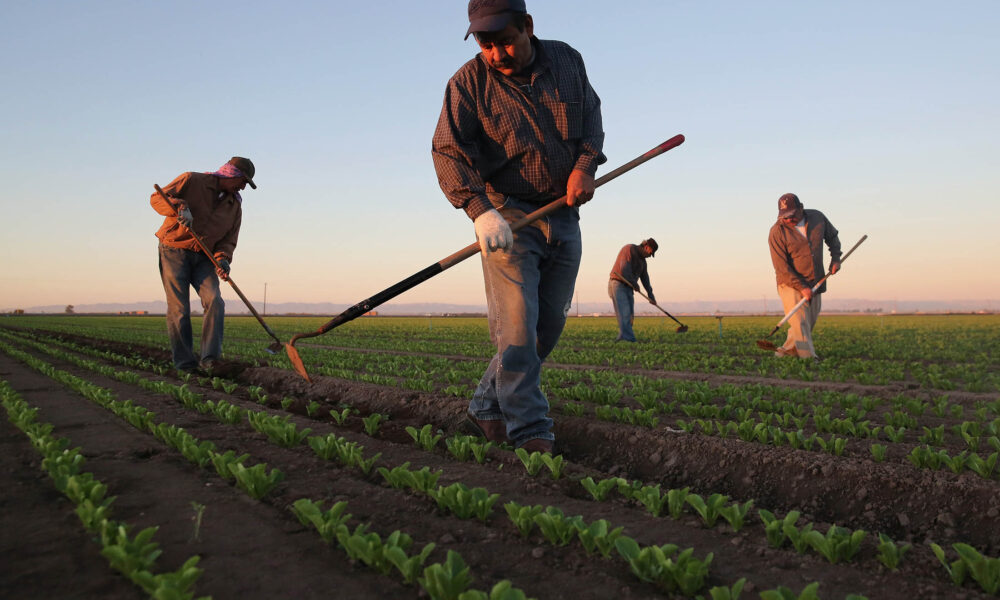 200+ General Farm Worker Jobs For Foreigners In Canada With Free Visa ...