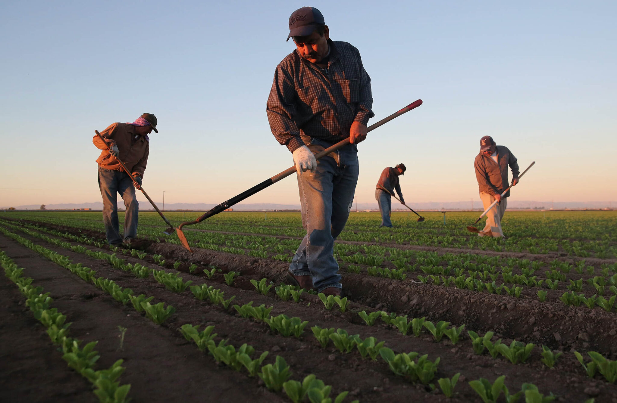 200+ General Farm Worker Jobs For Foreigners In Canada With Free Visa ...