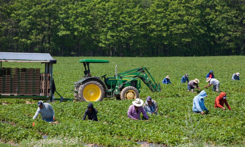 General Farm Worker Jobs – Careers Job In Canada