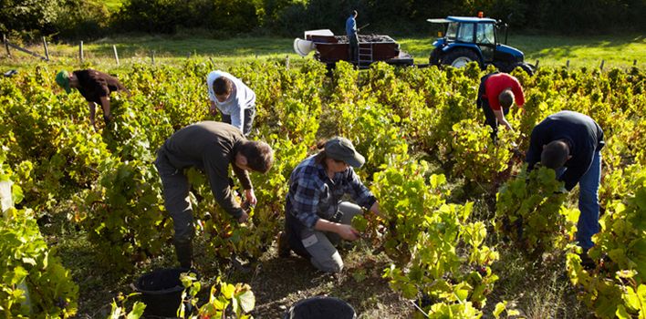 Farm Labourer – Harvesting – Careers Job In Canada