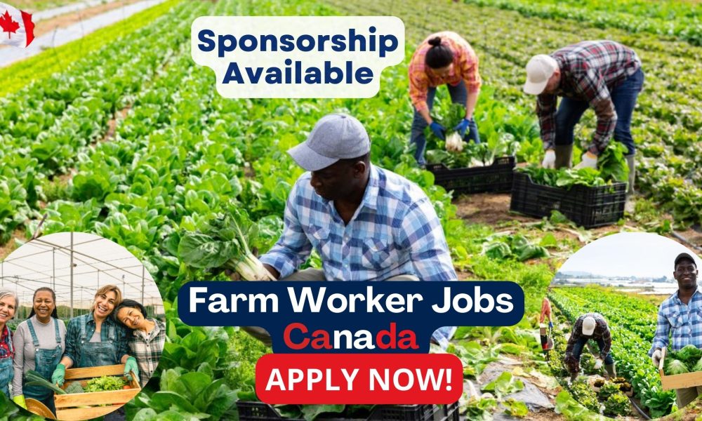 Vegetable Farm Worker Needed By Sudo Farms LTD – Lethbridge, AB ...