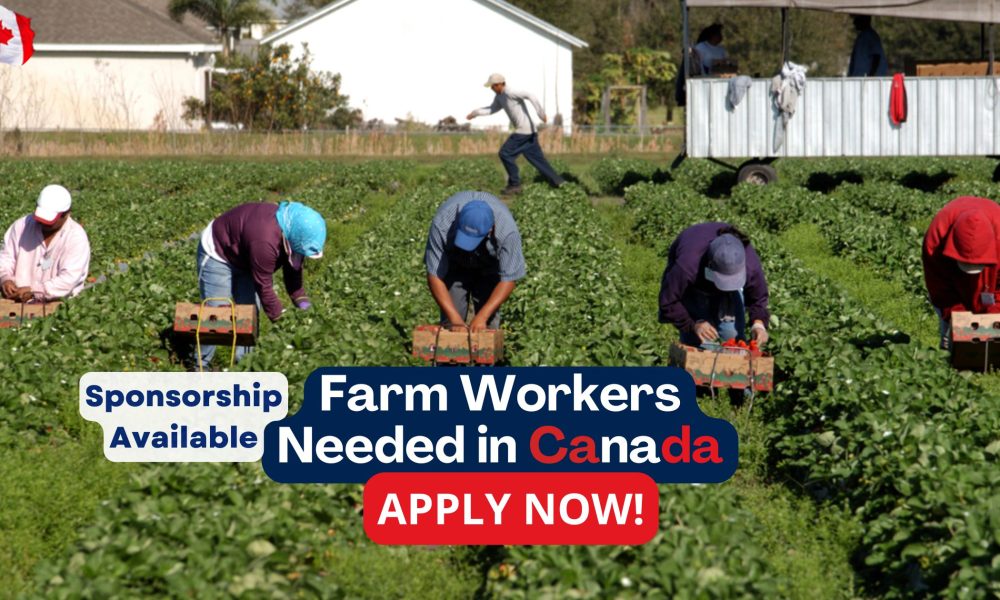 General Farm Labourer Needed – (Sponsorship Available) – Careers Job In ...