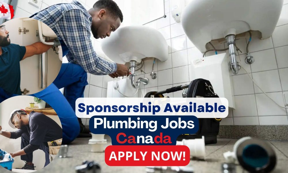 Dalip Plumbing & Heating Ltd. Is Now Hiring Foreigners For Plumbing ...