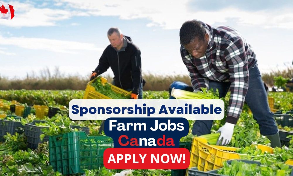PEACH KING FARMS LTD. Is Now Hiring Farm Workers – Keremeos, BC ...