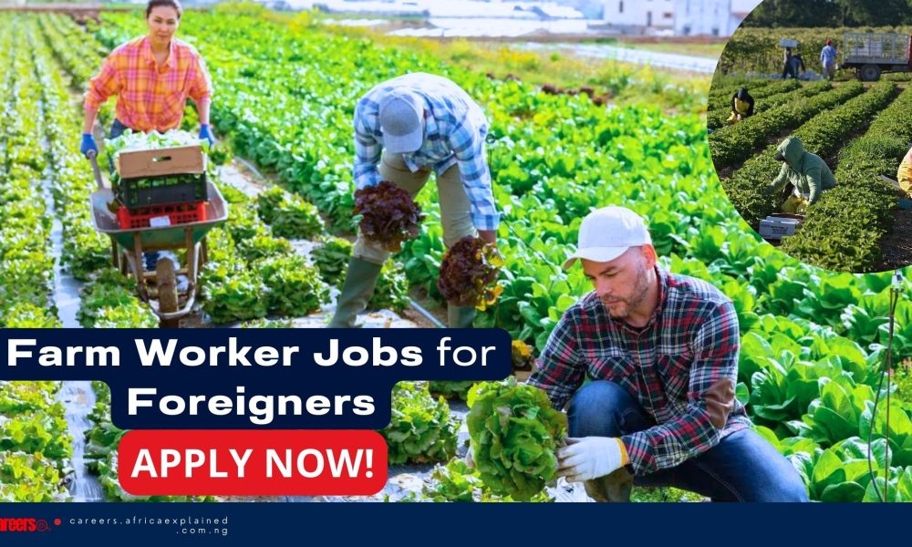 Bassano Farms Ltd Is Hiring Multiple Farm Workers – Sponsorship ...